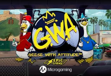 Casino en ligne | Le meilleur du casino en ligne | Ladbrokes Casino